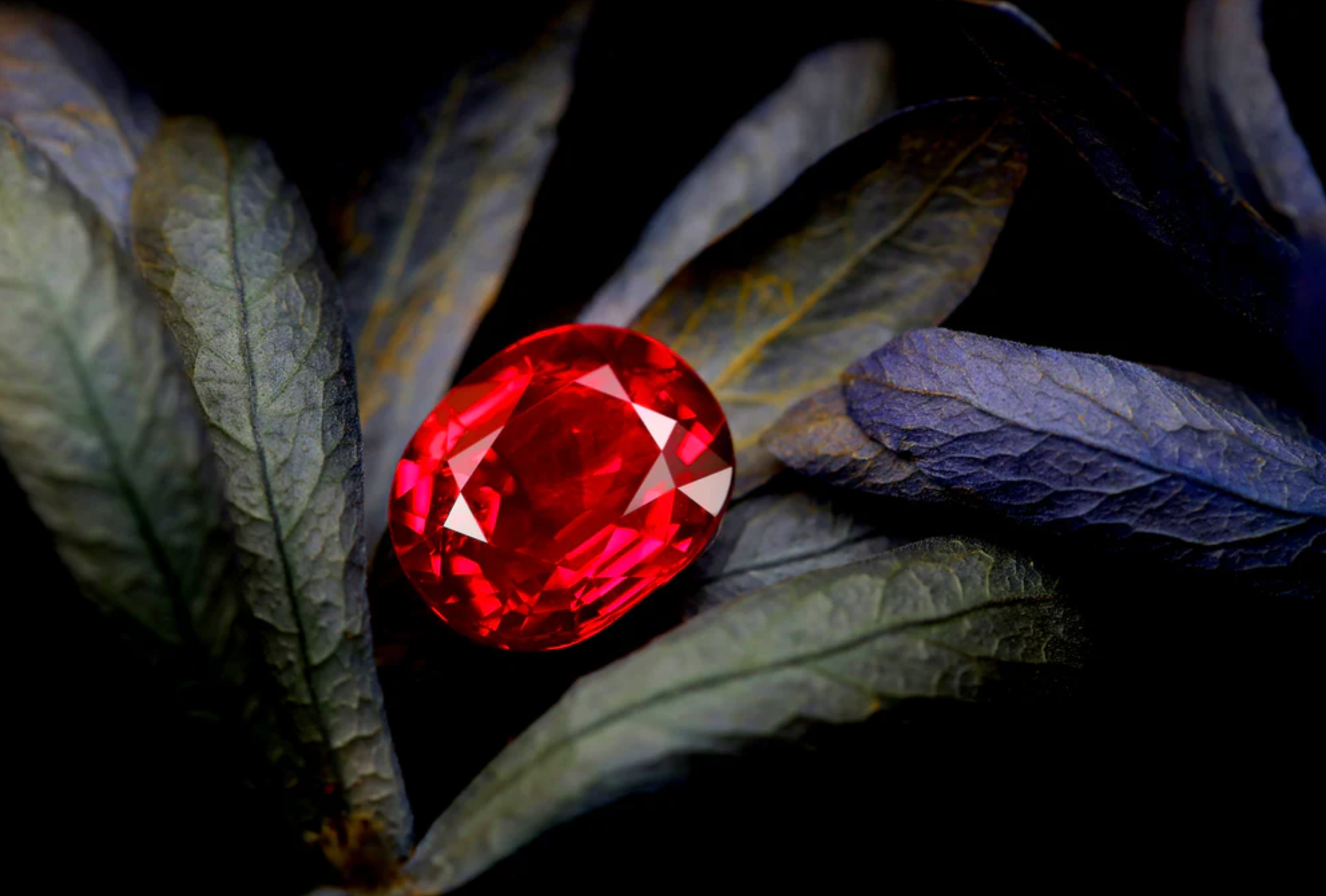 Highest Selling Rubies at Auction: Ranked by Price – ASSAY